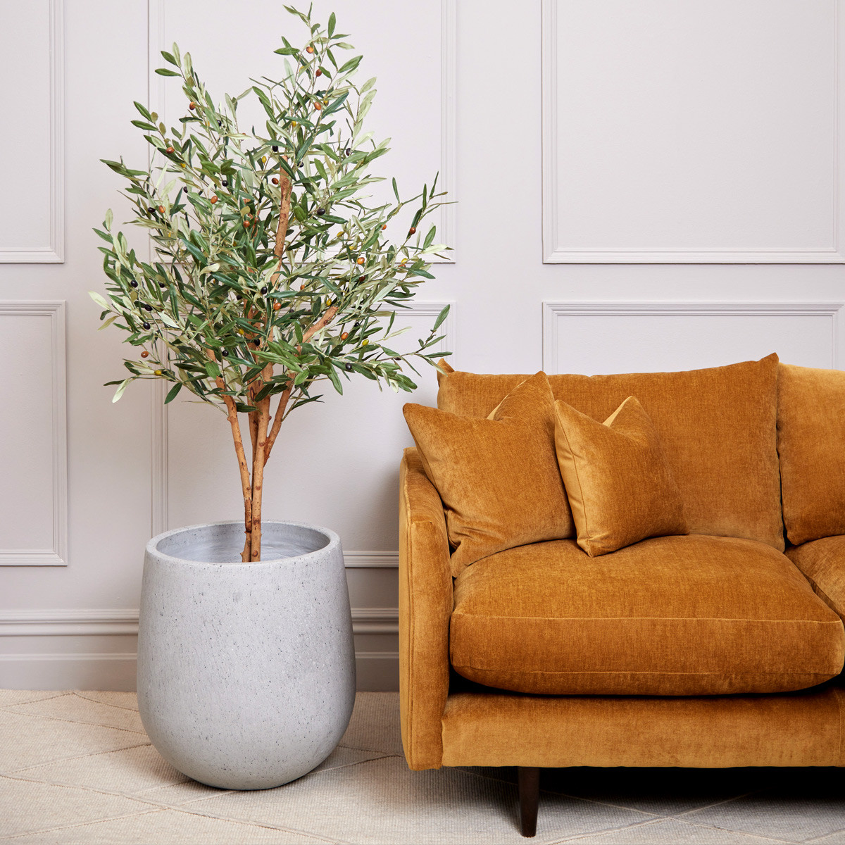 Olive Tree │ Meadows & Byrne